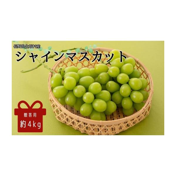 容量シャインマスカット約4kg　9~13房 発送期日2026年9月上旬〜2026年10月中旬配送冷蔵 別送申込期日2026年9月30日まで事業者株式会社野の香申込条件何度も申し込み可