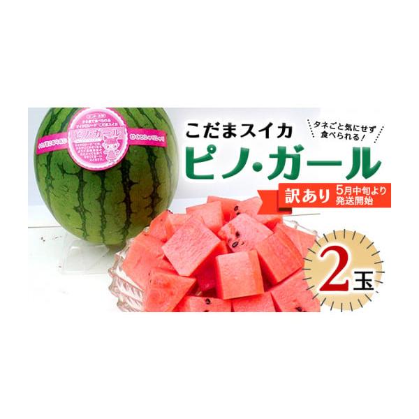 容量2玉（約1.5kg ／玉）消費期限1週間以内発送期日【2026年発送】入金確認後、5月中旬〜6月下旬にかけて順次発送※発送時期は、例年の発送時期になっております。その年の天候や発育によりお届けが遅れる、又は早まることがあります。配送常温...