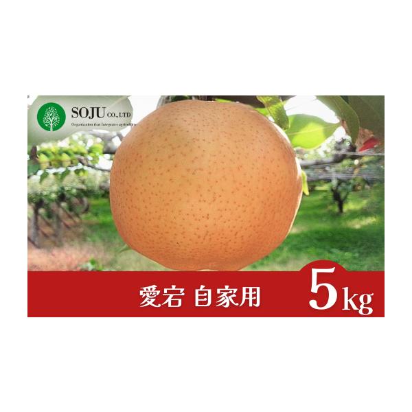 容量4~12個（合計約5kg）消費期限発送日から2週間~1か月程度発送期日申込完了から1〜2週間程度※天候や生育状況によって、お届け時期が前後する場合がございます。配送常温 時間指定 別送申込期日※数量限定のため、予定数量に達し次第受付終了...