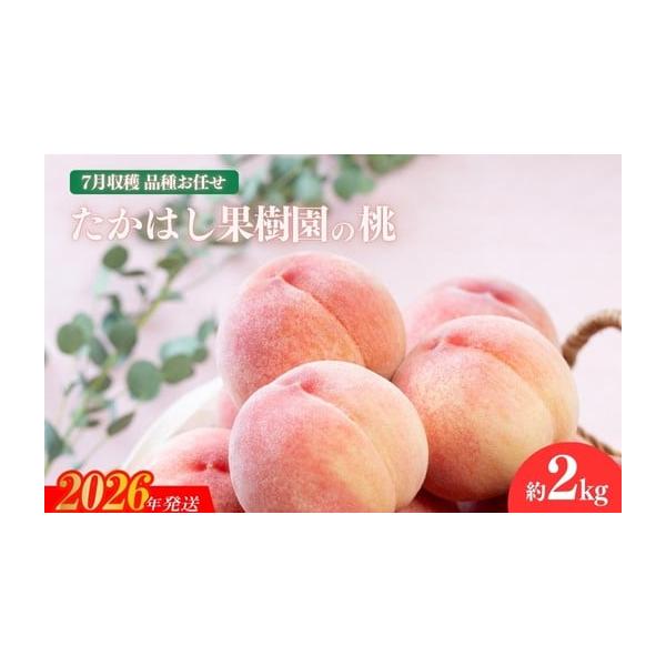 容量約2kg消費期限発送日+3日程度発送期日7月上旬から7月下旬発送予定配送冷蔵 時間指定 別送事業者たかはし果樹園申込条件何度も申し込み可、オンライン決済限定