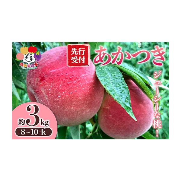容量桃 あかつき 約3kg（8〜10玉）消費期限出荷より5日間発送期日2026年7月下旬〜2026年8月上旬配送常温 時間指定 別送申込期日2026月5月31日まで事業者熊田果樹園申込条件何度も申し込み可