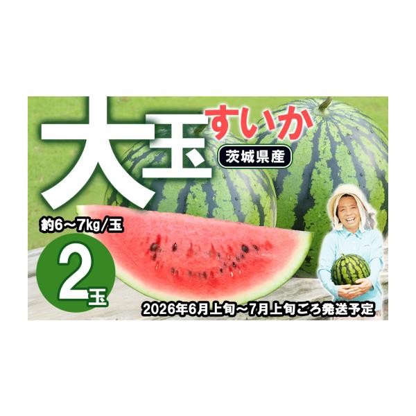 容量大玉すいか　2個　（約6〜7kg／個）発送期日ご入金確認後、2026年6月上旬〜7月上旬ごろ発送予定※天候などの影響や育成具合により、発送時期が変動する場合がございます。※お申込み時に「到着日のご指定」・「曜日指定」はお受けできません。...