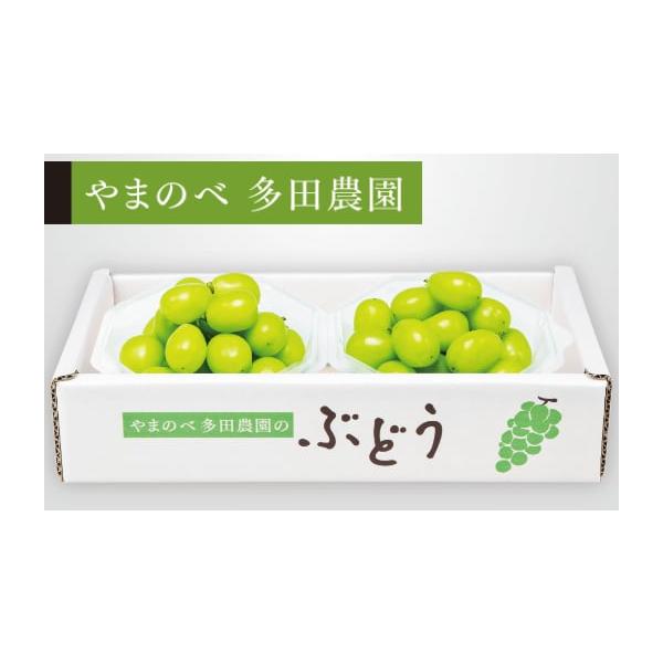 容量シャインマスカット ダイヤパック詰 250g×2パック消費期限5日以内発送期日 9月中旬~10月上旬頃に順次発送※発送時期は、例年の発送時期を記載しております。天候や収穫状況により変更になる場合があります。配送常温 時間指定 別送申込期...