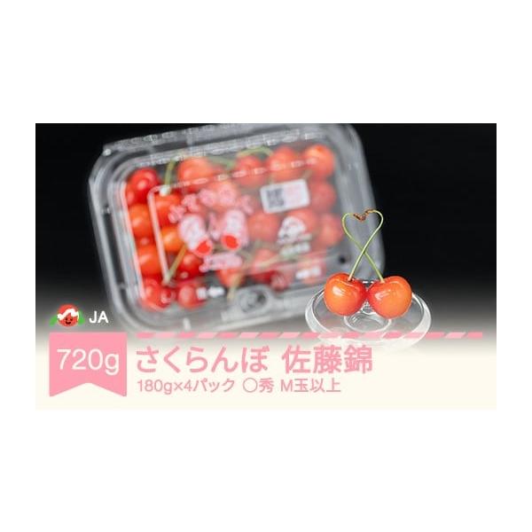 容量さくらんぼ（佐藤錦） M玉以上 720g(180g×4パック)発送期日6月中旬〜6月下旬頃に順次発送  ※生育の状況により多少前後することがあります配送冷蔵 時間指定 別送申込期日2026年6月11日まで事業者JAみちのく村山申込条件何...