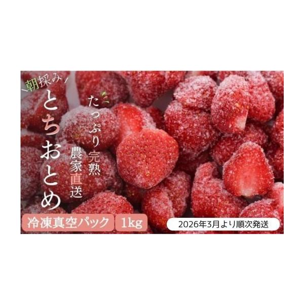 容量約1kg（500ｇ×2パック）　消費期限製造より約1年間（解凍後はお早めにお召し上がりください）発送期日2026年3月より順次発送いたします※天候により前後する場合がございます。【注意事項】※いちごが終わり次第、終了いたします。※配送過...