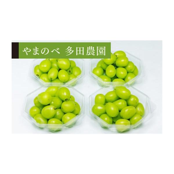 容量シャインマスカット ダイヤパック詰 250g×4パック消費期限出荷日から5日以内発送期日2026年9月中旬頃〜10月上旬頃※発送時期は、例年の発送時期を記載しております。天候や収穫状況により変更になる場合があります。配送常温 時間指定 ...