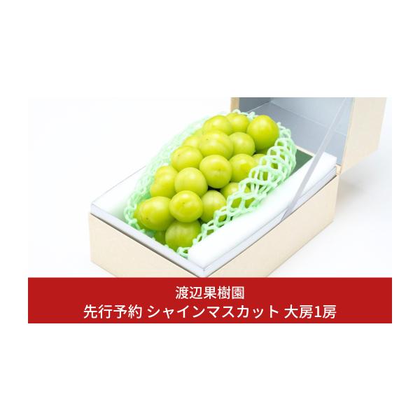 容量大房シャインマスカット　1房(約570g)消費期限発送日から7~9日程度発送期日8月下旬~9月下旬頃※天候や生育状況により、発送開始・終了時期が前後する場合がございます。※お申込み順に発送いたしますので、配達日のご指定はいたしかねます。...