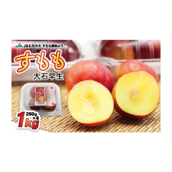 容量【内容量】大石早生　250ｇ×4PAK【原産地】福岡県産【のし対応】不可消費期限発送より冷蔵で7日発送期日【配送不可地域】ヤマト運輸の配送不可地域【お申込み期間】2026年5月31日まで【お届けまでの期間】ご入金確認後、お申込み順に6月...