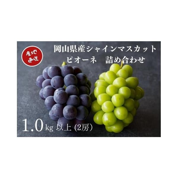 容量真庭市産　シャインマスカット・ピオーネ　詰合せ　1.0kg以上　2房消費期限お早めにお召し上がりください。●お受け取り後はすぐに中身をご確認いただき、お早目にお召し上がりください。●到着後は冷暗所または冷蔵庫で保存をお願いいたします。●...