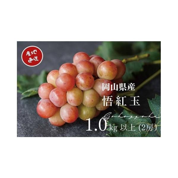 容量真庭市産  悟紅玉　1.0kg以上　2房　旧ゴルビー消費期限お早めにお召し上がりください。●お受け取り後はすぐに中身をご確認いただき、お早目にお召し上がりください。●到着後は冷暗所または冷蔵庫で保存をお願いいたします。●お客様のご都合に...