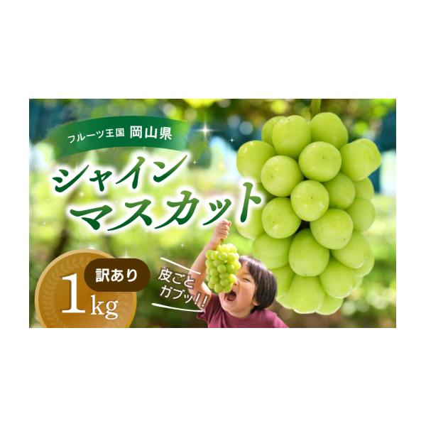 容量真庭市産シャインマスカット1kg以上（訳あり）消費期限到着後は、冷蔵庫で保管し、お早めにお召し上がりください。小さなお子様には、食べやすいようにカットをお勧めします。※画像はイメージです。発送期日2026年9月中旬〜11月下旬お申し込み...