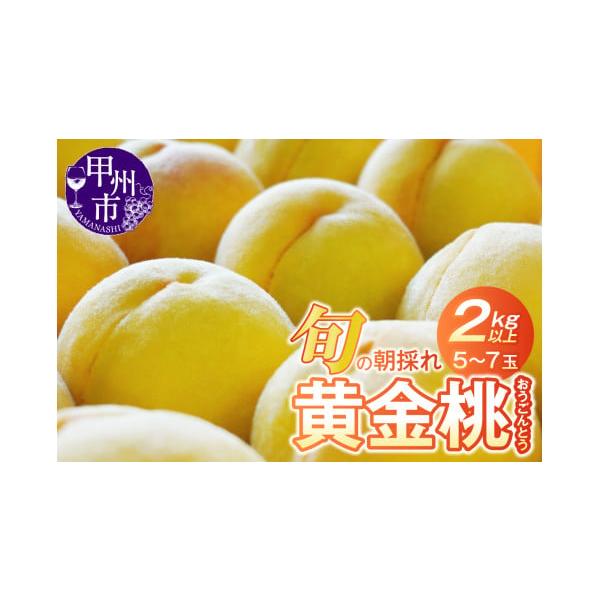 容量黄金桃 2kg以上（5〜7玉）消費期限到着次第、お早めにお召し上がりください。発送期日2026年7月下旬〜8月上旬頃、順次発送予定※天候や収穫状況により出荷に変動がございます。（※沖縄・離島へのお届けはできかねております）配送常温 時間...