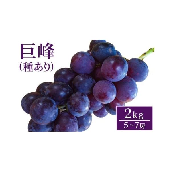 容量巨峰2kg（5〜7房）発送期日※天候により出荷時期が前後する場合がございますので予めご了承ください。【注意事項】※申し訳ございませんが、沖縄県、伊豆諸島（大島・八丈島を除く）及び小笠原村（小笠原諸島）への発送はお受け出来ません。・特産品...