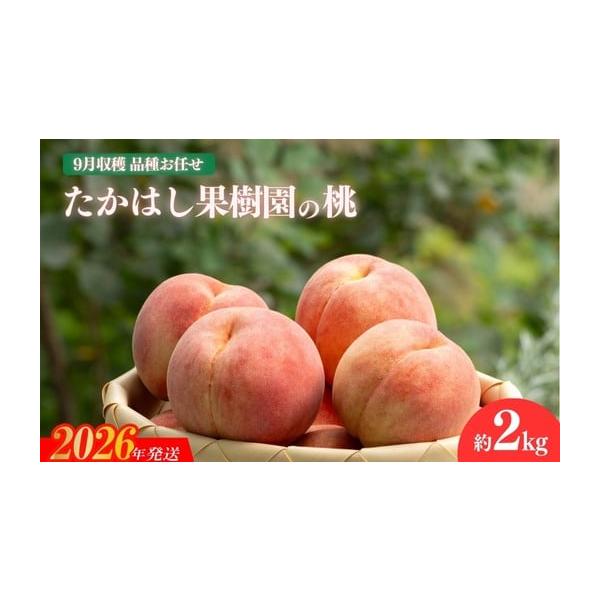 容量約2kg消費期限発送日+3日程度発送期日2026年9月上旬から2026年9月下旬発送予定配送冷蔵 時間指定 別送事業者たかはし果樹園申込条件何度も申し込み可、オンライン決済限定