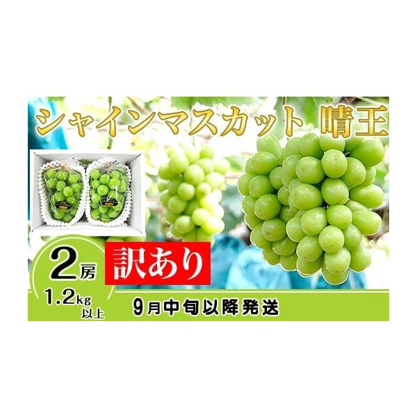容量シャインマスカット晴王2房（1.2kg以上）消費期限冷蔵保存で5日程度発送期日2026年9月中旬〜10月下旬発送予定※天候などの影響や育成具合により、発送時期が変動する場合があります。※伊豆諸島（大島・八丈島を除く）及び小笠原村（小笠原...