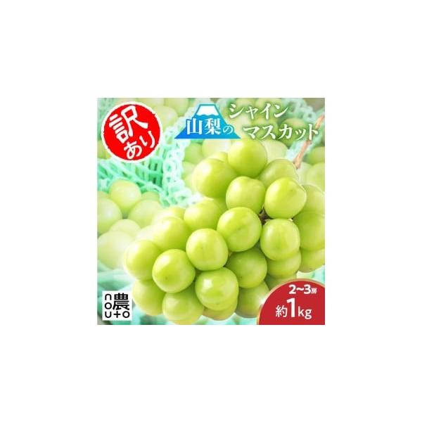 容量訳ありシャインマスカット2房〜3房（1kg以上）訳あり返礼品となりますのでご注意をお願い致します。消費期限お早めにお召し上がりください。発送期日8月中旬〜10月下旬※天候などの影響や育成具合により、出荷がずれる場合があります。 配送冷蔵...