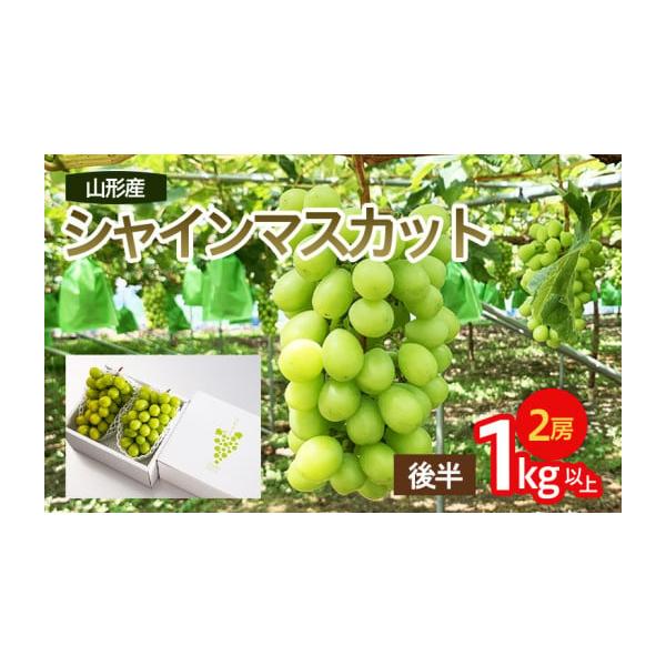 容量【令和8年産】シャインマスカット 秀 約1kg以上 2房発送期日2026年10月20日頃〜2026年11月19日頃※状況により配送時期が前後する場合がございます。(着日指定不可)配送冷蔵 時間指定 別送申込期日2026年10月30日まで...