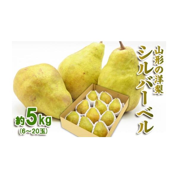 容量【令和8年産】山形産 シルバーベル 秀品 約5kg(6〜20玉)発送期日2026年11月27日頃〜2026年12月27日頃※状況により配送時期が前後する場合がございます。(着日指定不可)配送常温 時間指定 別送申込期日2026年12月1...