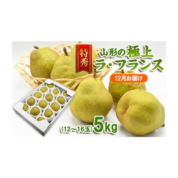 【発売日：2026年02月01日】容量【令和8年産】山形産 ラ・フランス 特秀品 約5kg(12〜16玉)[12月のお届け]発送期日2026年12月01日頃〜2026年12月31日頃※状況により配送時期が前後する場合がございます。(着日指定...