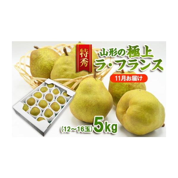 【発売日：2026年02月01日】容量【令和8年産】山形産 ラ・フランス 特秀品 約5kg(12〜16玉)[11月お届け]発送期日2026年11月10日頃〜2026年11月30日頃※状況により配送時期が前後する場合がございます。(着日指定不...