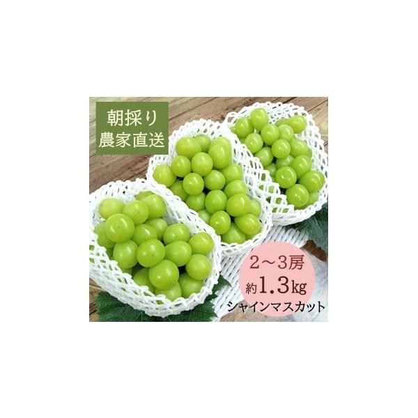 容量ぶどう（シャインマスカット）　1.3kg（2房〜3房）■産地広島県東広島市高屋町産■販売者たかやのぶどう広島県東広島市高屋町高屋東1911-30消費期限別途ラベルに記載■保存方法冷蔵保存発送期日出荷準備でき次第、順次発送【配送不可：離島...