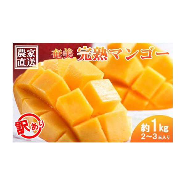 容量約1kg　2〜3玉入り(1箱)消費期限発送より冷蔵で約1週間発送期日2026年7月下旬から8月中旬頃順次配送予定（青果物の為、その年の収穫時期が多少ずれることがあります。）配送冷蔵 時間指定 別送申込期日2026年1月4日までの受付予定...