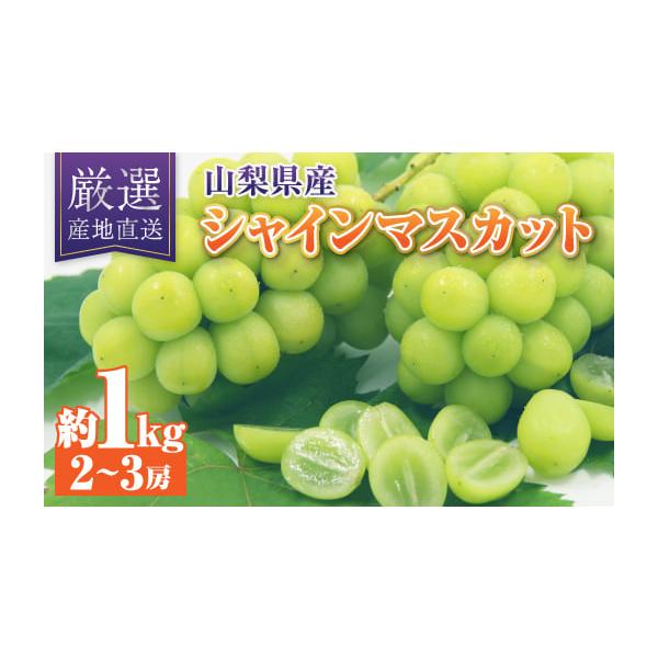 容量■お礼品の内容について・旬のシャインマスカット[約1.0kg　2〜3房]原産地:山梨県／製造地:山梨市消費期限■賞味期限:出荷日+5日※到着後、すぐにお礼品の状態をご確認のうえ、お早めにお召し上がりください。■注意事項／その他※画像はイ...