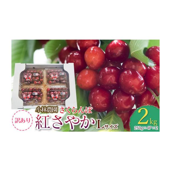 容量【訳あり】紅さやか　フードパック詰 2kg（250g×4P×2箱）【提供事業者】小林農園 さくらん坊消費期限発送日＋2日生鮮食品ですので冷蔵庫に保存の上、お早めにお召し上がりください。発送期日令和8年6月10日頃〜6月15日頃順次発送予...