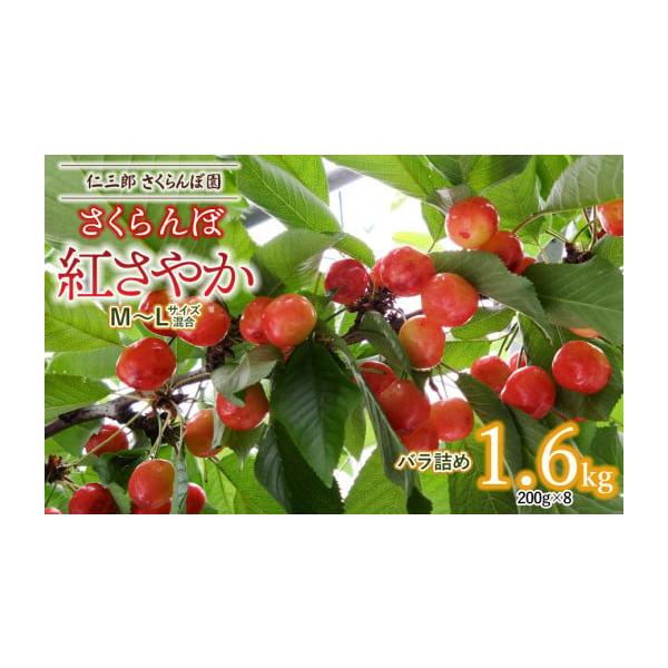 容量紅さやか (M〜Ｌサイズ混合) バラ詰め1.6kg(200g×8パック入) 1箱【提供事業者】仁三郎さくらんぼ園【産地名】山形県鶴岡市産消費期限到着後、常温で約１〜２日程度。※実が柔らかく傷みやすいフルーツです。完熟の状態でお届けさせて...