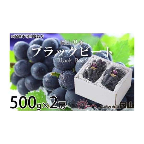 容量ブラックビート 約500g×2房岡山県内産（5条8号ハ）※お届け日、時間の指定は申し訳ないですが、お受けできません。※ぶどうは大変傷みやすいです。受取後すぐにお品の状態をご確認ください。※生ものですので、なるべく早めにお召し上がり下さい...