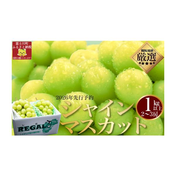 容量１ｋｇ以上（２〜３房）消費期限発送日より５日程度発送期日令和８年８月中旬〜１０月中旬 ※収穫後、順次発送※青果品のため、発送時期が前後する場合があります。配送常温 時間指定 別送申込期日令和８年８月まで※なくなり次第終了事業者REGAL...
