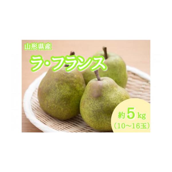 容量【令和8年産】ラ・フランス 秀品 約5kg(10〜16玉)発送期日2026年10月30日頃〜2026年11月30日頃※状況により配送時期が前後する場合がございます。(着日指定不可)配送常温 時間指定 別送申込期日2026年10月25日ま...