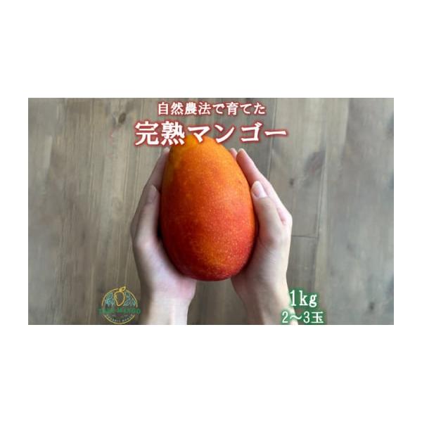 容量■お礼品の内容について・マンゴー[1kg(2〜3玉)]　　原産地:沖縄県与那原町　消費期限■賞味期限:発送日から1週間以内でお早めにお召し上がりください。発送期日2026-06-20〜2026-07-31　※離島にはお届けできません。配...