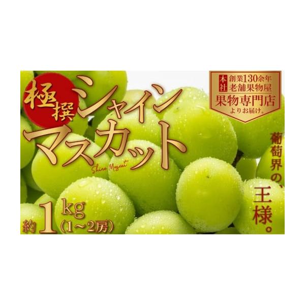 容量内容量：約1kg原産地：観音寺市消費期限発送日から冷蔵4日発送期日2026年8月中旬〜10月下旬配送冷蔵 別送申込期日2026年10月15日まで事業者くだもの畑 PonPon申込条件何度も申し込み可