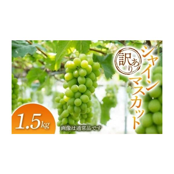 容量訳ありシャインマスカット 1.5kg消費期限約7日発送期日2026年9月上旬頃〜10月下旬頃配送冷蔵 時間指定 別送申込期日2026年10月15日まで事業者株式会社エナジーファーム申込条件何度も申し込み可、オンライン決済限定