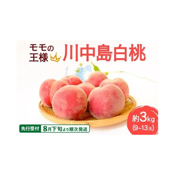 容量■名称：モモ■内容量：約3kg■産地名：秋田県横手市■品種：川中島白桃■保存方法：返礼品到着後、桃を常温で保管していただき、１〜２日後に指で押せるようになってから食べる個数のみを冷蔵庫に移し２時間ほど冷やしてお召し上がりいただくのがベス...