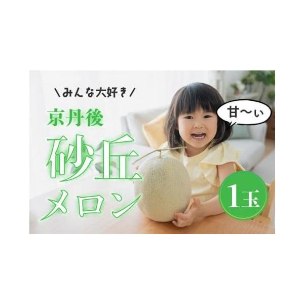 容量砂丘メロン（久美浜・網野産）1玉×1.4kg以上消費期限【賞味期限】出荷日から8日間迄までが美味しくいただける期間です【保存方法】常温または、要冷蔵10℃以下発送期日【配送可能期間】2026年7月下旬〜8月10日までにお届け【配送不可地...