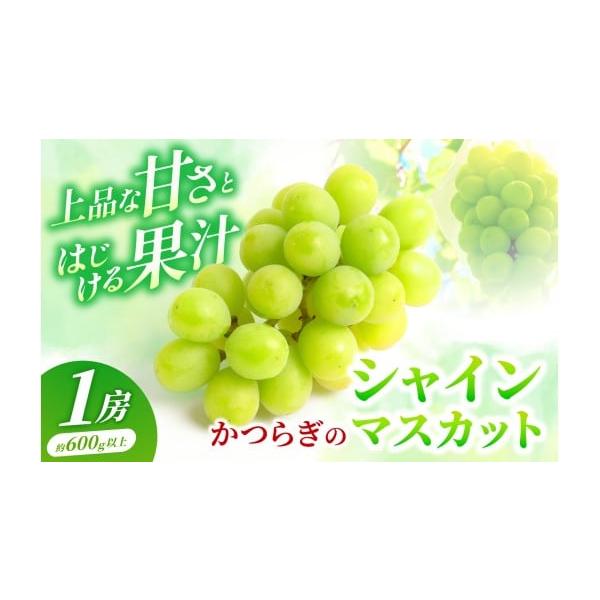 容量1房（600g以上）消費期限生鮮品のためお早めにお召し上がりください。（要冷蔵10℃以下で保存）発送期日2026年8月中旬〜9月上旬頃出荷予定配送冷蔵 時間指定 別送申込期日〜2026年8月25日事業者株式会社松源申込条件何度も申し込み可