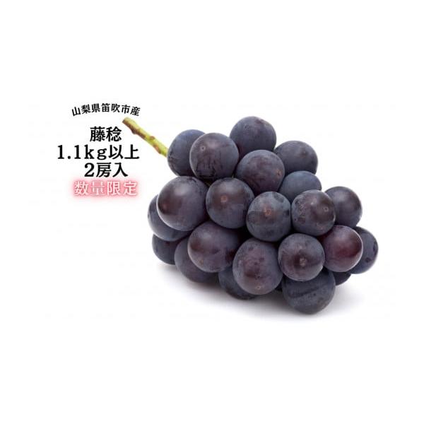 容量藤稔1.1kg　2房入消費期限商品到着後お早めにお召し上がりください。発送期日2026年8月上旬〜9月中旬※天候等により変動する場合がございます。配送冷蔵 別送申込期日2026年7月31日まで事業者株式会社Ｍ’s gift申込条件何度も...