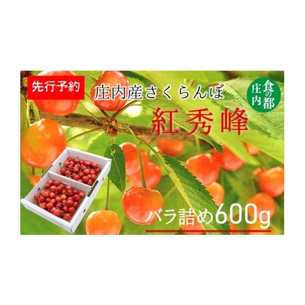 容量さくらんぼ品種：紅秀峰2L・Lサイズ600gバラ詰め（300g×2パック）※写真はイメージです。※さくらんぼの色づきは気象条件により大幅に変わることもございます。消費期限※到着後、お早めにお召し上がりください。（要冷蔵）発送期日【先行予...