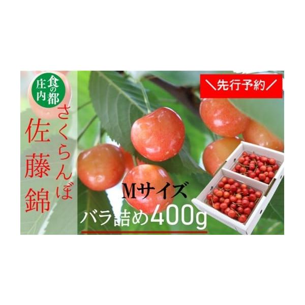 容量さくらんぼ品種：佐藤錦Mサイズ 約400gバラ詰め（200g×2パック）※写真はイメージです。※さくらんぼの色づきは気象条件により大幅に変わることもございます。消費期限※到着後、お早めにお召し上がりください。（要冷蔵）発送期日【先行予約...