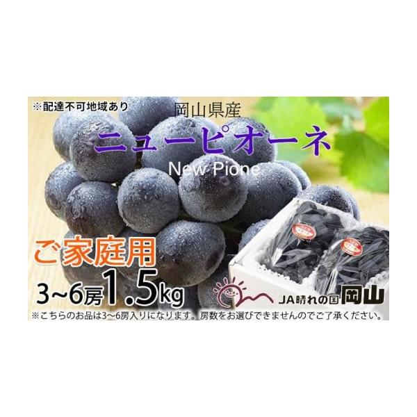 容量ご家庭用 ニューピオーネ 3〜6房 約1.5kg岡山県内産（5条8号ハ）※お届け日、時間の指定は申し訳ないですが、お受けできません。※ご家庭用としての内容です。少し形が良くなかったり、色むらがあるものが含まれますのでご了承ください。（品...