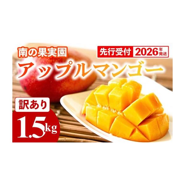 容量アップルマンゴー 訳あり品1.5kg（3〜7玉）※玉数の指定はできません※数に限りがございます。数量に達し次第終売となります。※黒い斑点やキズ有り・色・形・不揃いの為、見た目は落ちますが、味や甘さは変わりありません。　ご家庭用としてご賞...