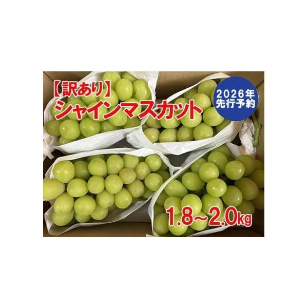 容量１．８〜２．０ｋｇ（３〜６房）※房数の指定はできません。消費期限訳あり品のため、届き次第お早めにお召し上がりください発送期日２０２６年８月下旬〜１０月下旬※青果品のため、発送時期が前後する場合があります。配送常温 時間指定 別送申込期日...