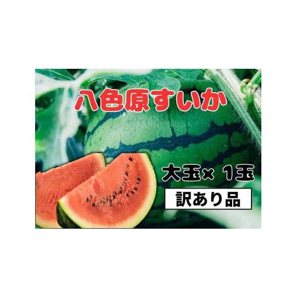容量大玉１玉（１玉：約４ｋｇ以上）※１玉は重さの選定しております。消費期限５日〜７日　※お早めにお召し上がりください。発送期日2026年7月20日〜2026年8月20日の期間に受付順に順次発送予定。※発送時期は予定になります。収穫の状況によ...