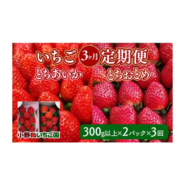 容量300g以上×2パック計3回発送期日2026年1月上旬頃より順次発送予定配送冷蔵 定期 別送申込期日〜2025年12月31日事業者小野口いちご園申込条件何度も申し込み可