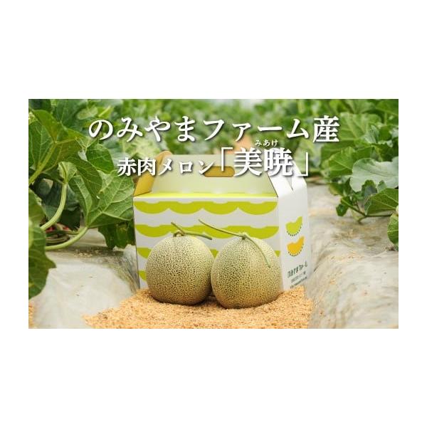 容量赤肉メロン２玉入り（各1.6kg以上を2玉）品種については「ゆめてまり」をお送りいたしますが、毎年申込が殺到しているため、申込の時期によっては別品種での発送となりますので、予めご了承ください。消費期限消費期限／商品ごとに記載概ね到着から...