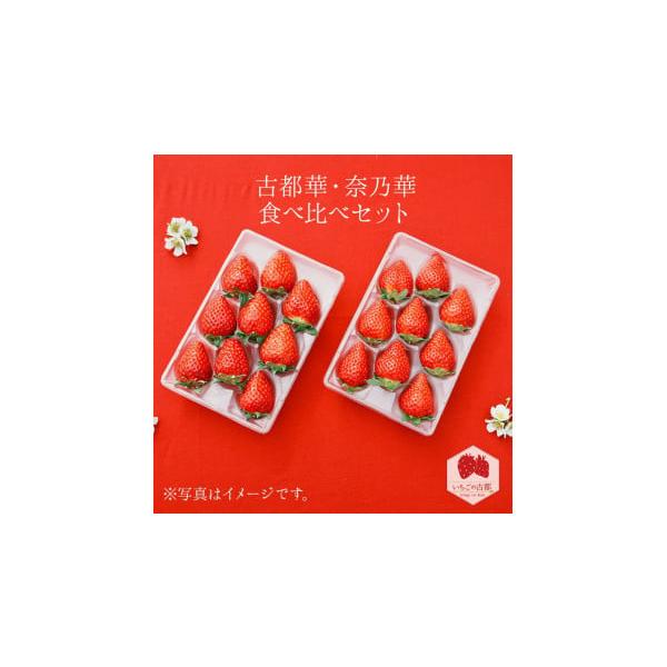 容量約500g（250g×2パック）発送期日2026年1月中旬〜5月上旬頃に順次発送予定配送冷蔵 別送申込期日〜2026年4月30日事業者いちごの古都（MSIN株式会社）申込条件何度も申し込み可