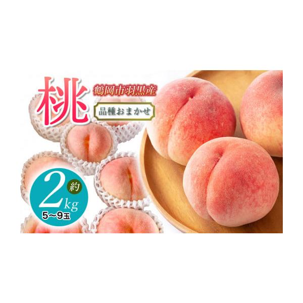 容量桃 5〜9玉（約2kg）【提供事業者】JA庄内たがわ【産地名】山形県鶴岡市羽黒産【産年】令和8年産※品種のご指定は出来ません。おまかせとなります。※成長具合が大きく変化することがあります。そのため、玉数とサイズの指定のご指定はできません...