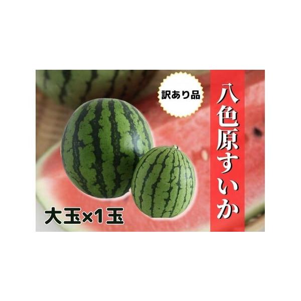 容量大玉１玉（大玉：約４ｋｇ以上）※１玉は重さの選定しております。消費期限５日〜７日（到着後なるべく早めにお食べください。）発送期日2026年7月20日〜2026年8月20日の期間に受付順に順次発送予定。※発送時期は予定になります。収穫の状...
